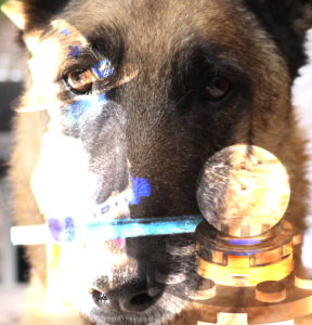 Inversion Layer Modes Ahuka Communications