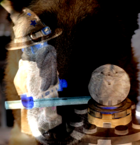 Inversion Layer Modes Ahuka Communications